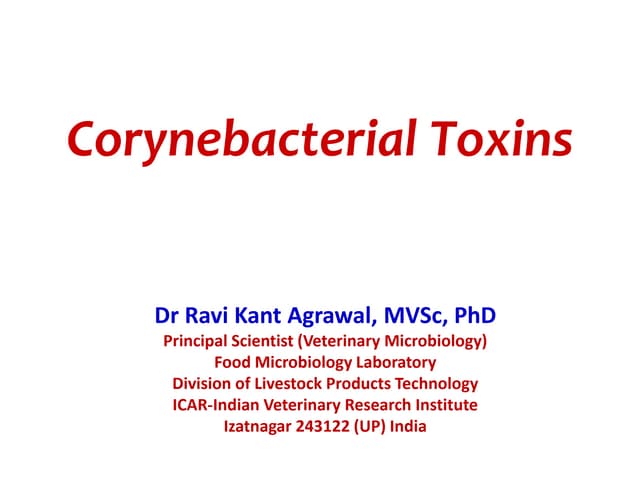 Different types of Bacterial Colony and their characteristics.pptx