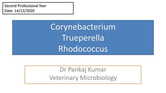 Proteus spp lecture | PPTX