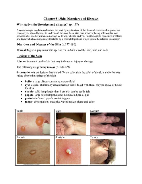 Human Skin, physiology, skin types, skin disease and skin cure. Take a ...