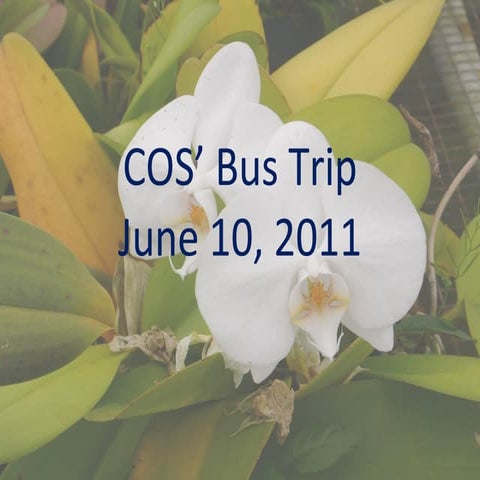 Cos’ bus trip | PPT