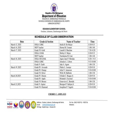 CLASSROOM OBSERVATION Schedule for teachers | DOCX