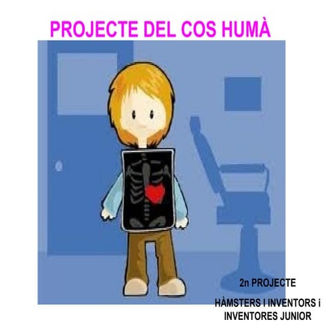 Projecte Cos humà 1r A Escola Nova Cervelló | PPT