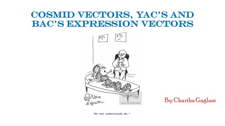 Cosmid Vectors, YAC and BAC Expression Vectors
