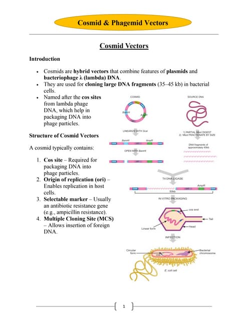 Plasma Membrane & its Composition Detailed Notes for B.Sc. & M.Sc ...