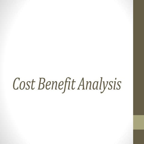 Cost_Benefit_Analysis_wu.pptx