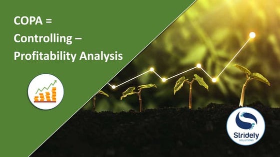 SAP Controlling overview | PPT