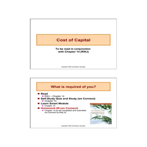 Cost of capital | PDF