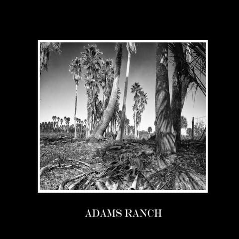 Coston Black and Whites | PPT