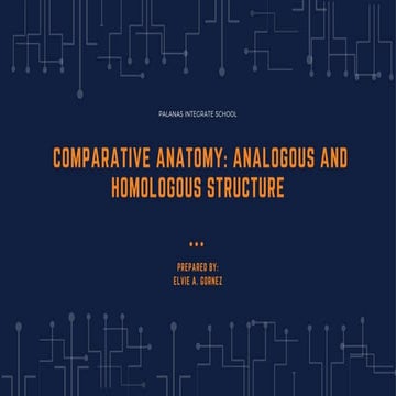 COMPARATIVE ANATOMY | PPTX