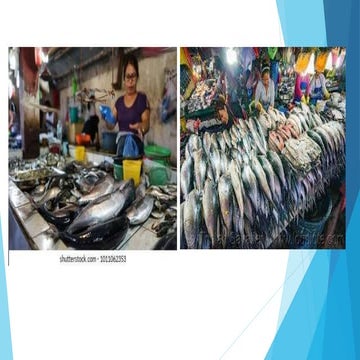 COT CAPTURE Fish capture basic net construction that help the fisherman ...