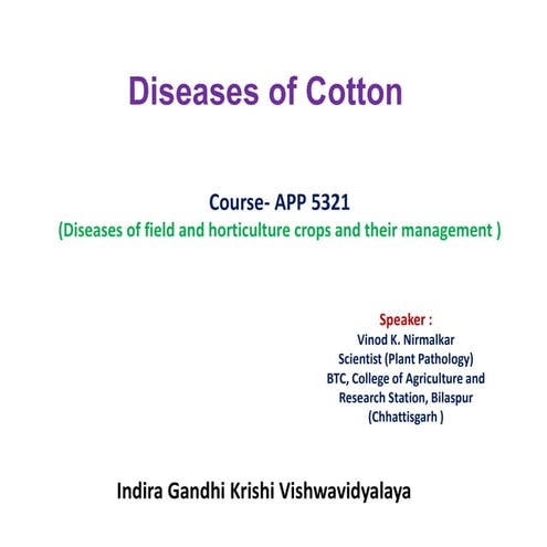 cotton.pdf disease of Cotton with pathogens identification | PDF