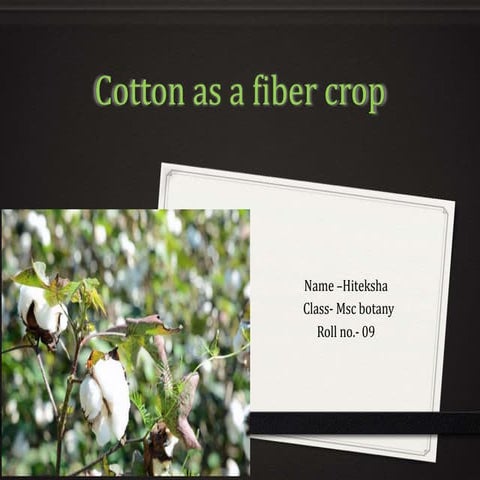 Cotton as a fibre crop | PPTX
