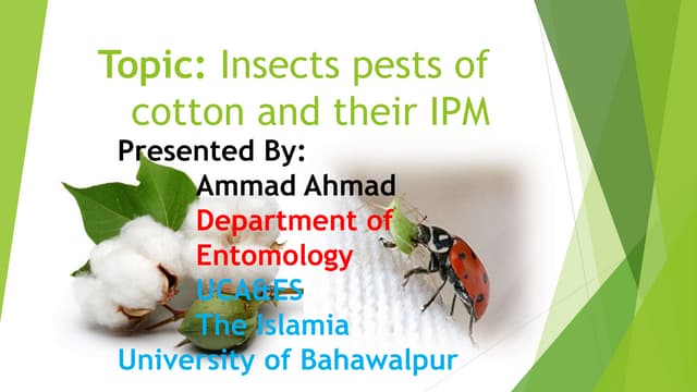 Different sampling techniques for insect population estimation | PDF