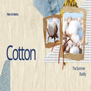 Cotton fibre Presentation and processing in detail | PPTX