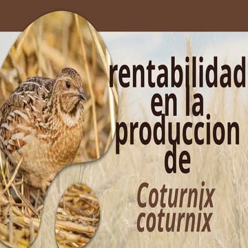 Alimentacion de codorniz | PPTX
