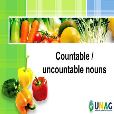 countables and uncountables...English..pdf