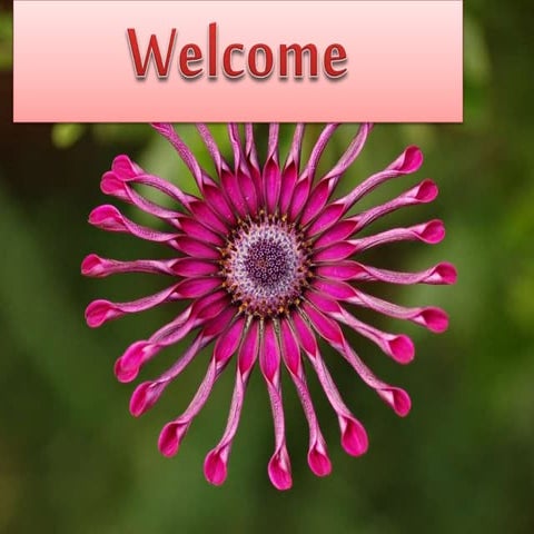 Count &color the number (8,৮) | PPTX