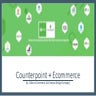 Counterpoint Ecommerce Integration.pptx