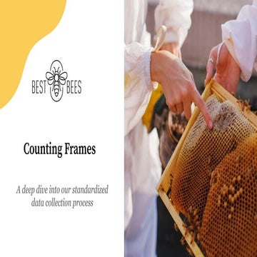 Counting Frames - Learn how to quantify data | PDF