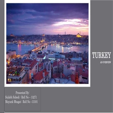 turkey country analysis | PPT