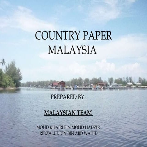 Country Paper Fish | PPT