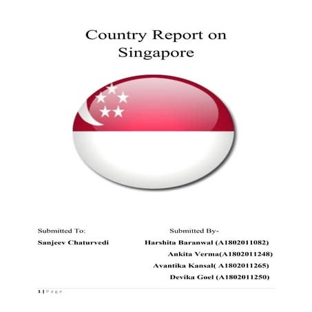 Singapore country report | PDF