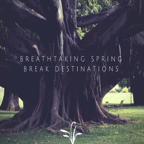 Breathtaking Spring Break Destinations | PPT