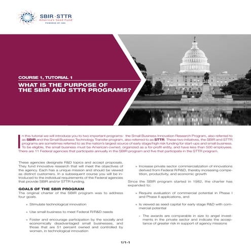 SBIR-STTR Programs Technology | PDF