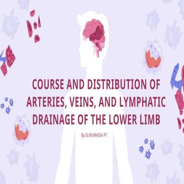 21-Vascular anatomy of the lower limb.pptx