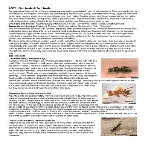 Course ANTS One & Two Node.pptx