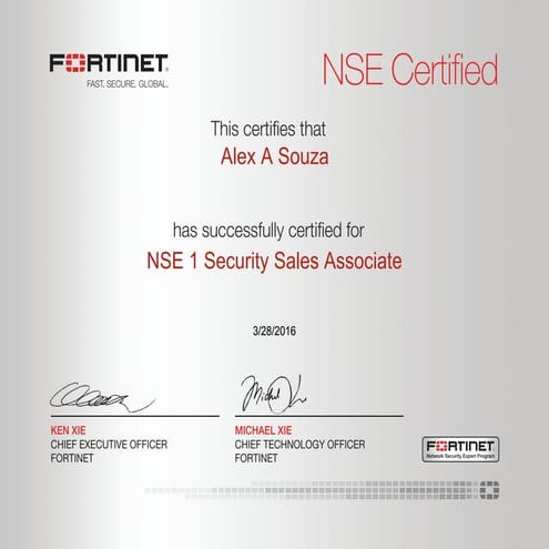 NSE 1 Security Sales Associate | PDF