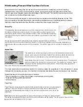 evs project on study of birds,insects and plants | PDF | Birdwatching ...