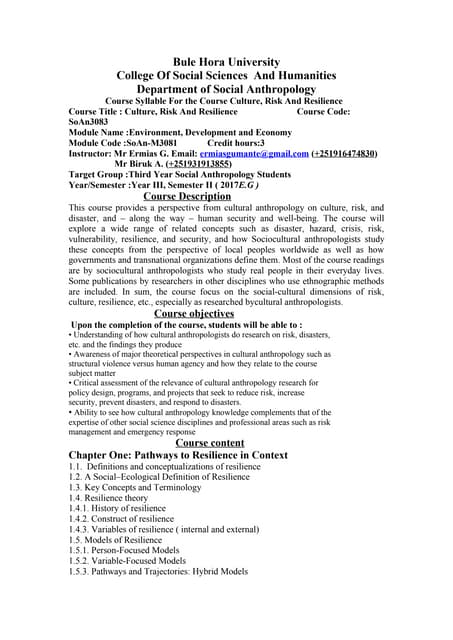 Oguz_DILEK_CV_2016 copy | PDF