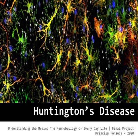 Huntington's Disease - Understanding the Brain: The Neurobiology of ...