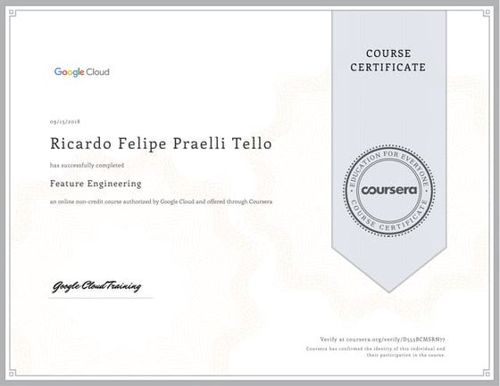 Certificate | PDF | Technology & Computing