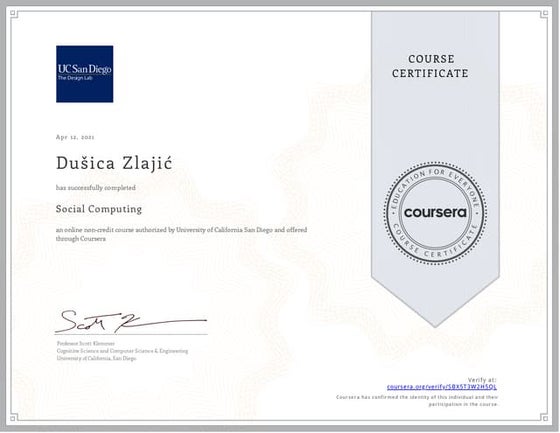 Coursera Information Design.pdf