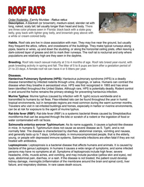 Effective Strategies to Manage Pigeon Infestations and Property Damage.pptx