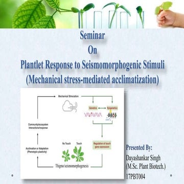 Seminar plantlet response to seismomorphogenic stimuli (mechanical ...