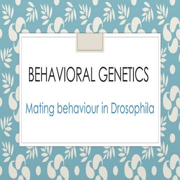 Mating Behaviour and Courtship in Drosophila.pptx