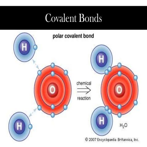Covalent bonds | PPTX