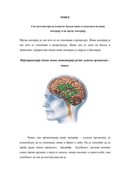 Covek deo prirode- by Djusa | PPT