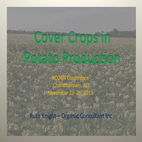 Cover crops in potato production slideshow | PDF