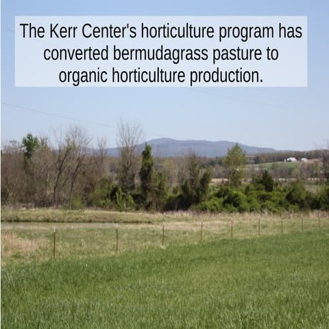 Cover Crops at the Kerr Center | PDF