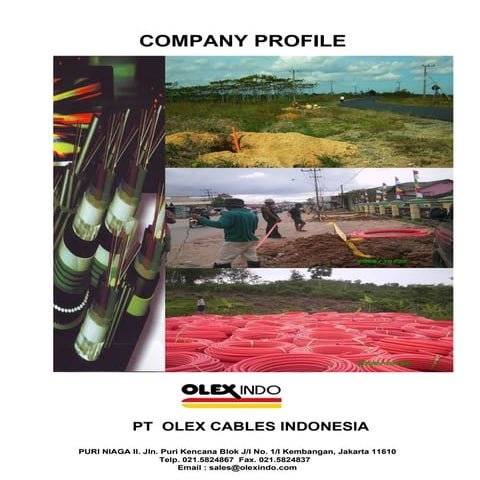 olexindo | PPT