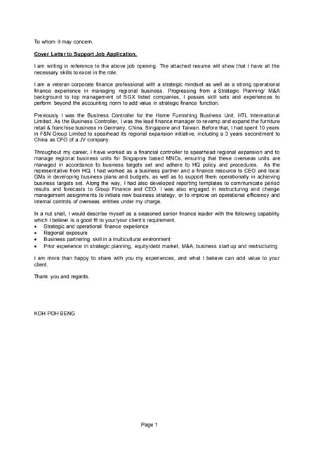 Professional Bio / Executive Summary / Cover Letter | PDF