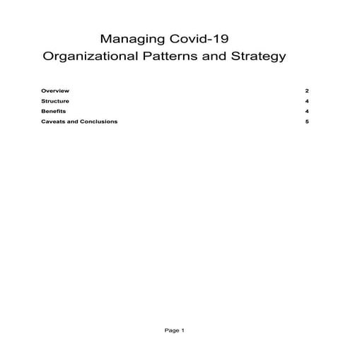 Covid 19 high level strategy-v-1.0.2 | PDF