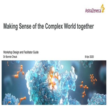 Making Sense of the Complex World Together Sense-Making Workshop | PPT