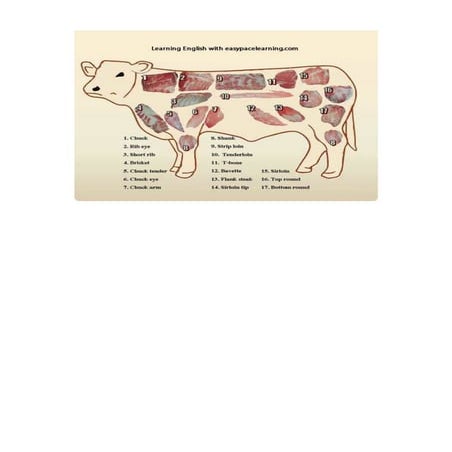 Cow | PDF