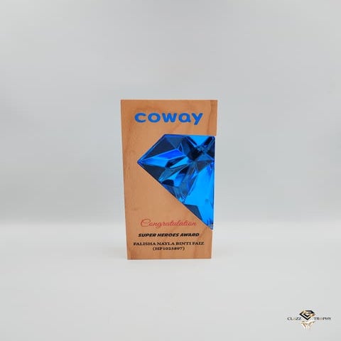 Coway Wooden Blue Diamond Trophies at Clazz Trophy Malaysia | #1 ...