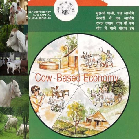 Cow+based+economy+ +v5 | PPTX